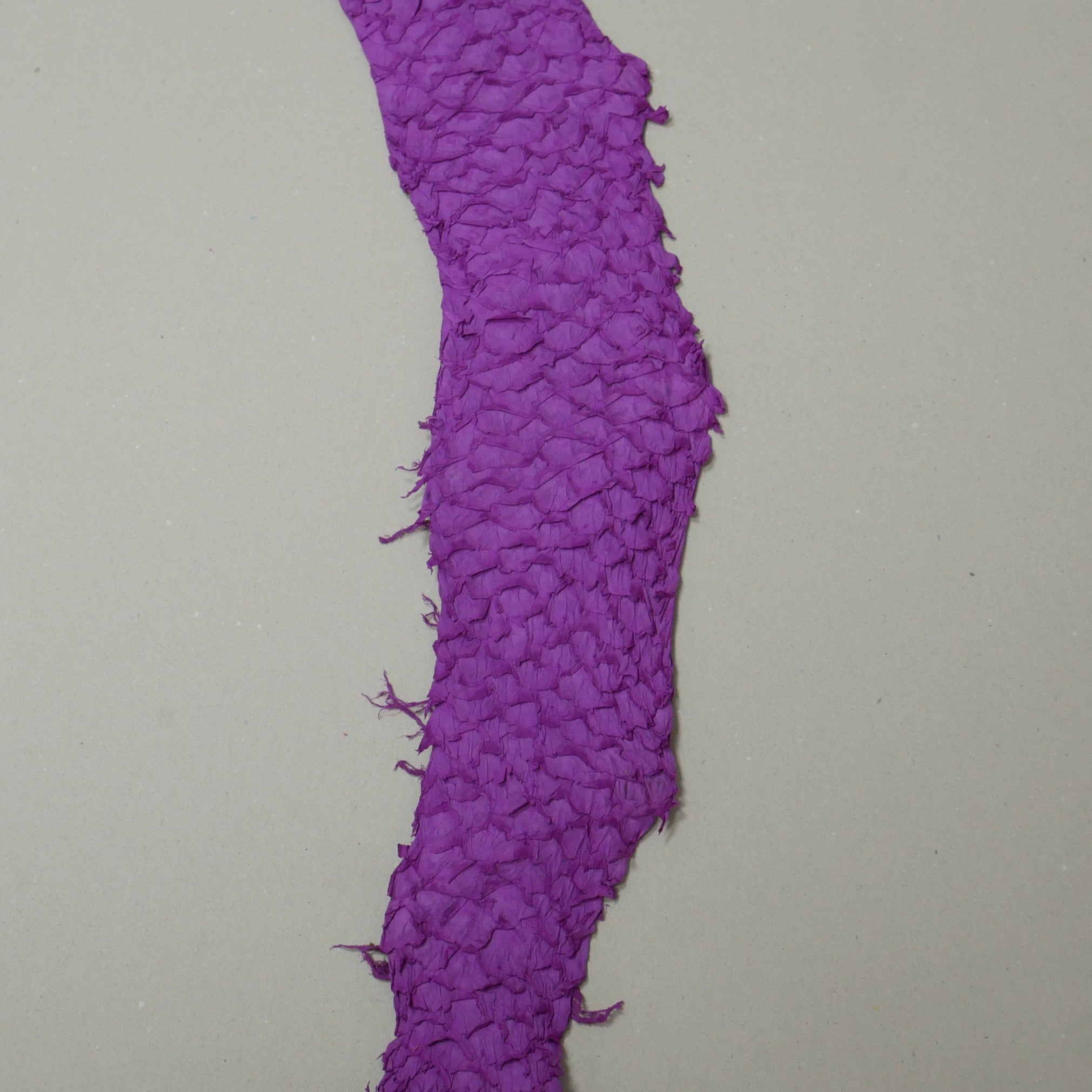 FISH SKINS – Walter Reginald Group