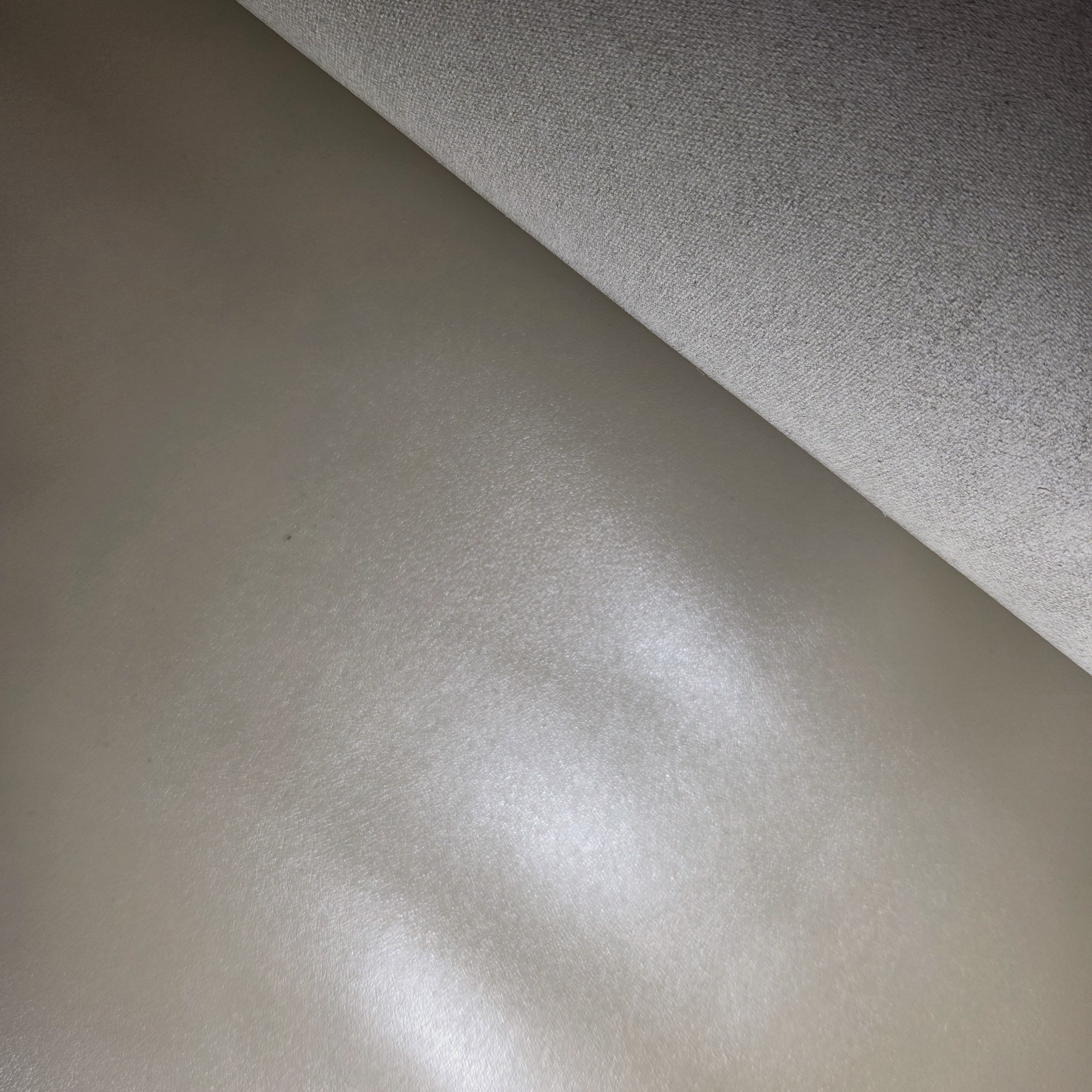 Smooth Cow Sides – Walter Reginald Group