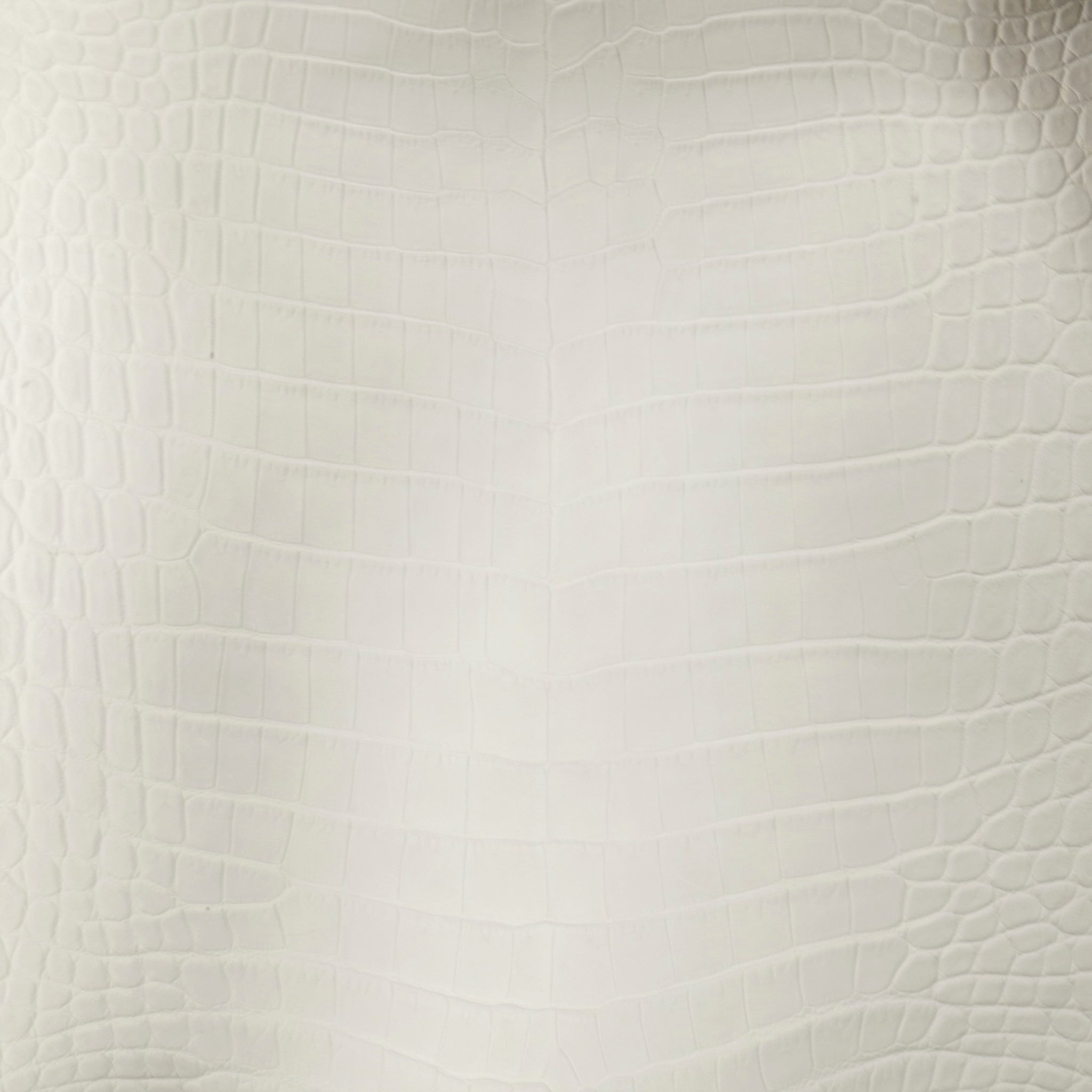 Crocodile skins – Walter Reginald Group