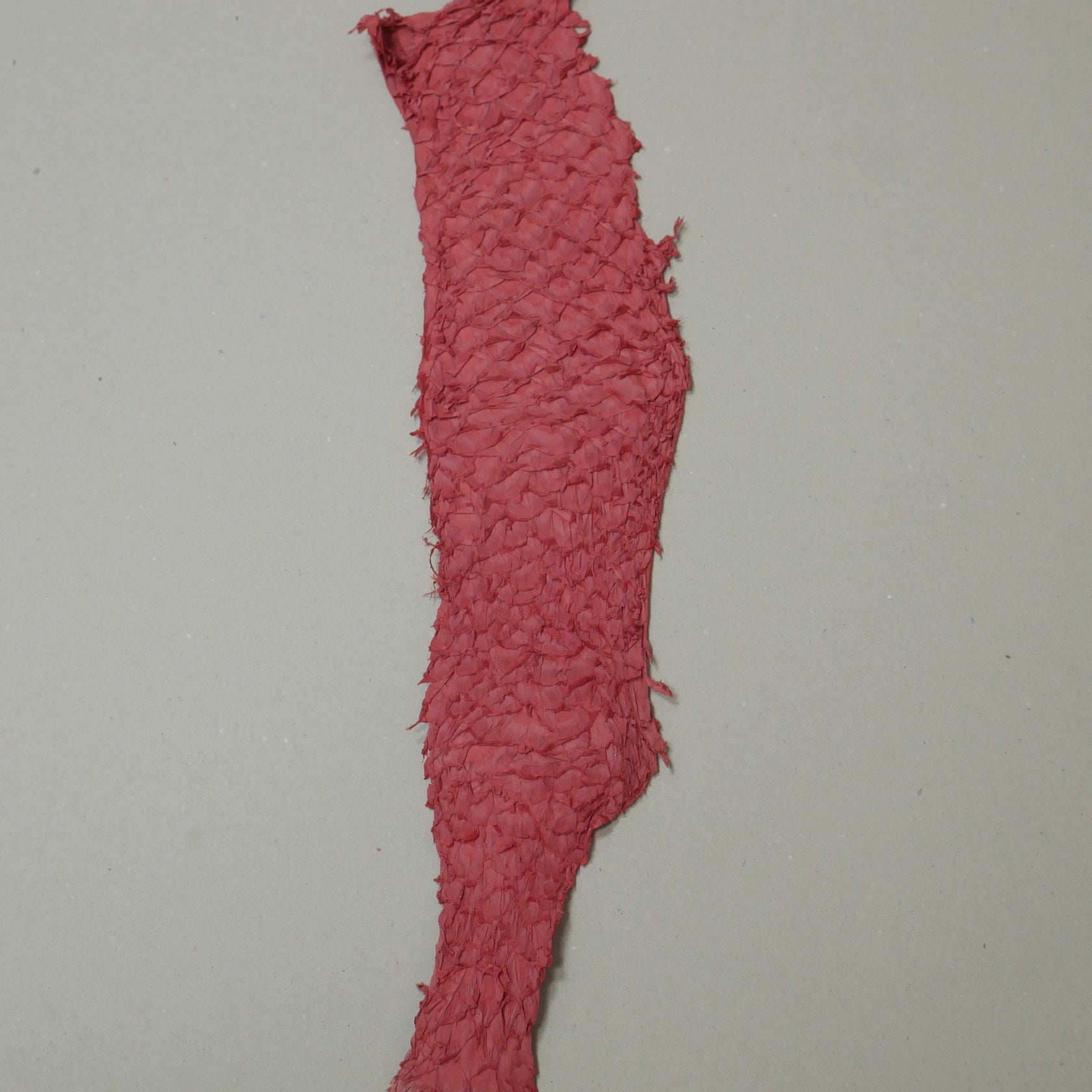 Fish skins – Walter Reginald Group