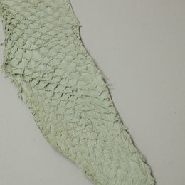 Fish skins – Walter Reginald Group